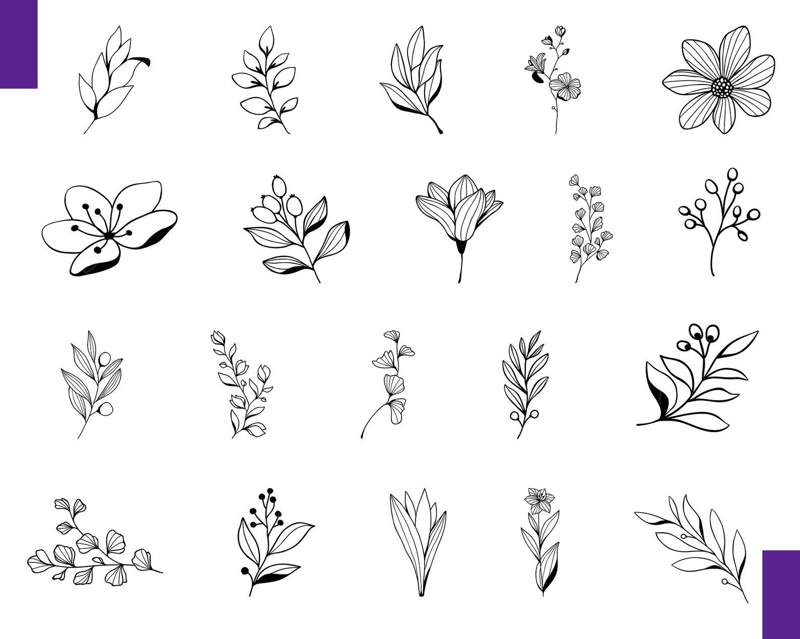 Floral Collection SVG Floral Svg Flower Svg Botanical - Etsy