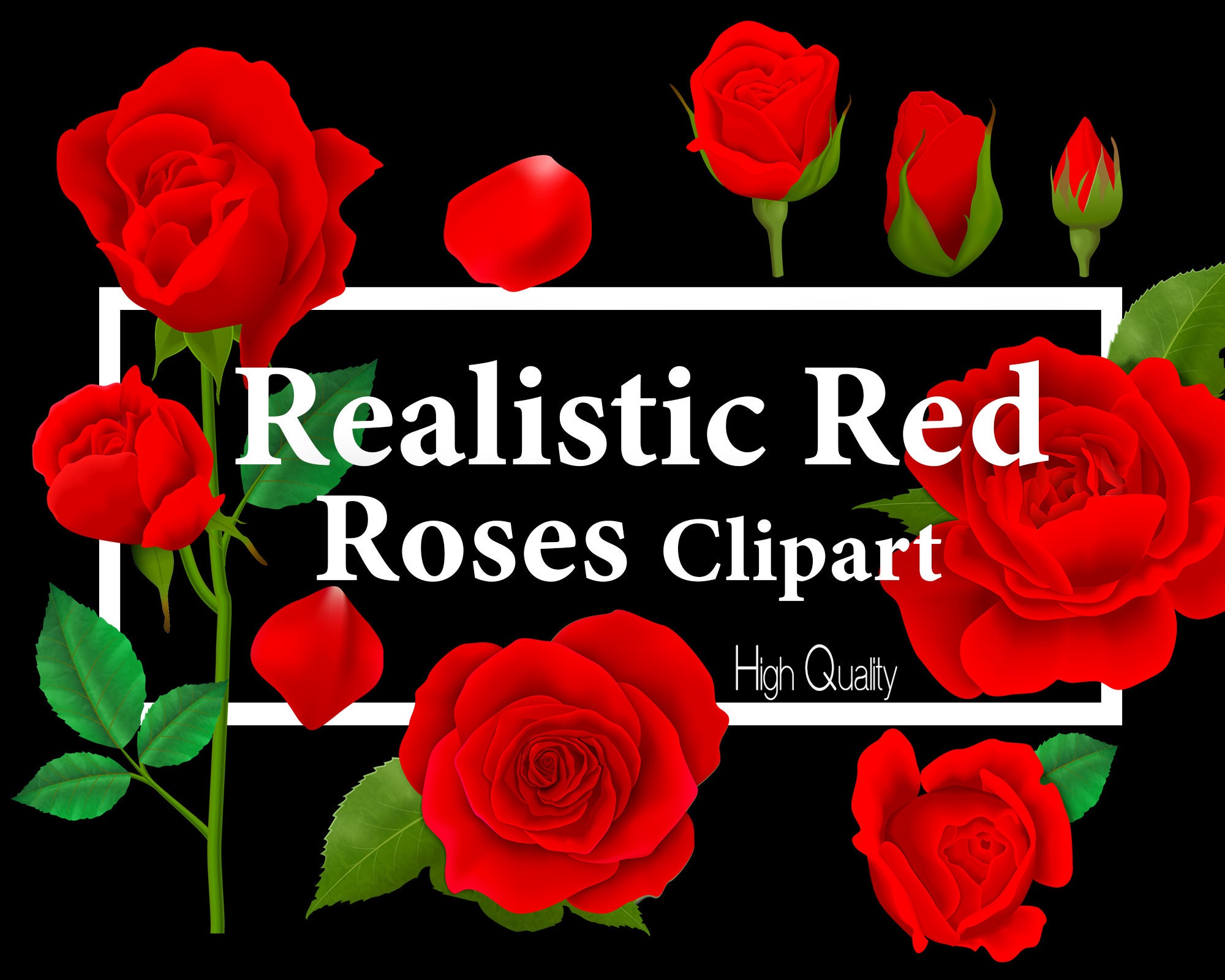 Red Roses Clipart Realistic Roses Red Rose SVG Rose Clip - Etsy Canada