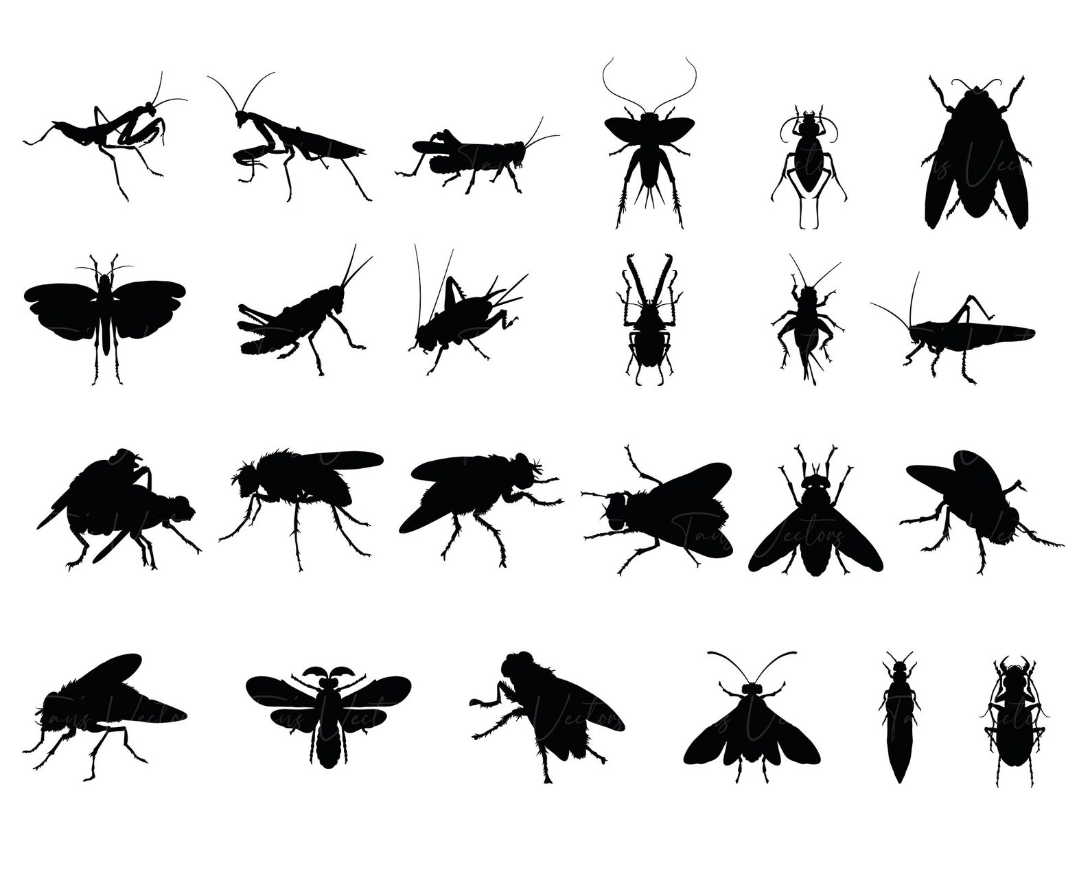 Insect Silhouette - Insect Svg, Insect Clipart, Bugs Svg, Insect Png ...
