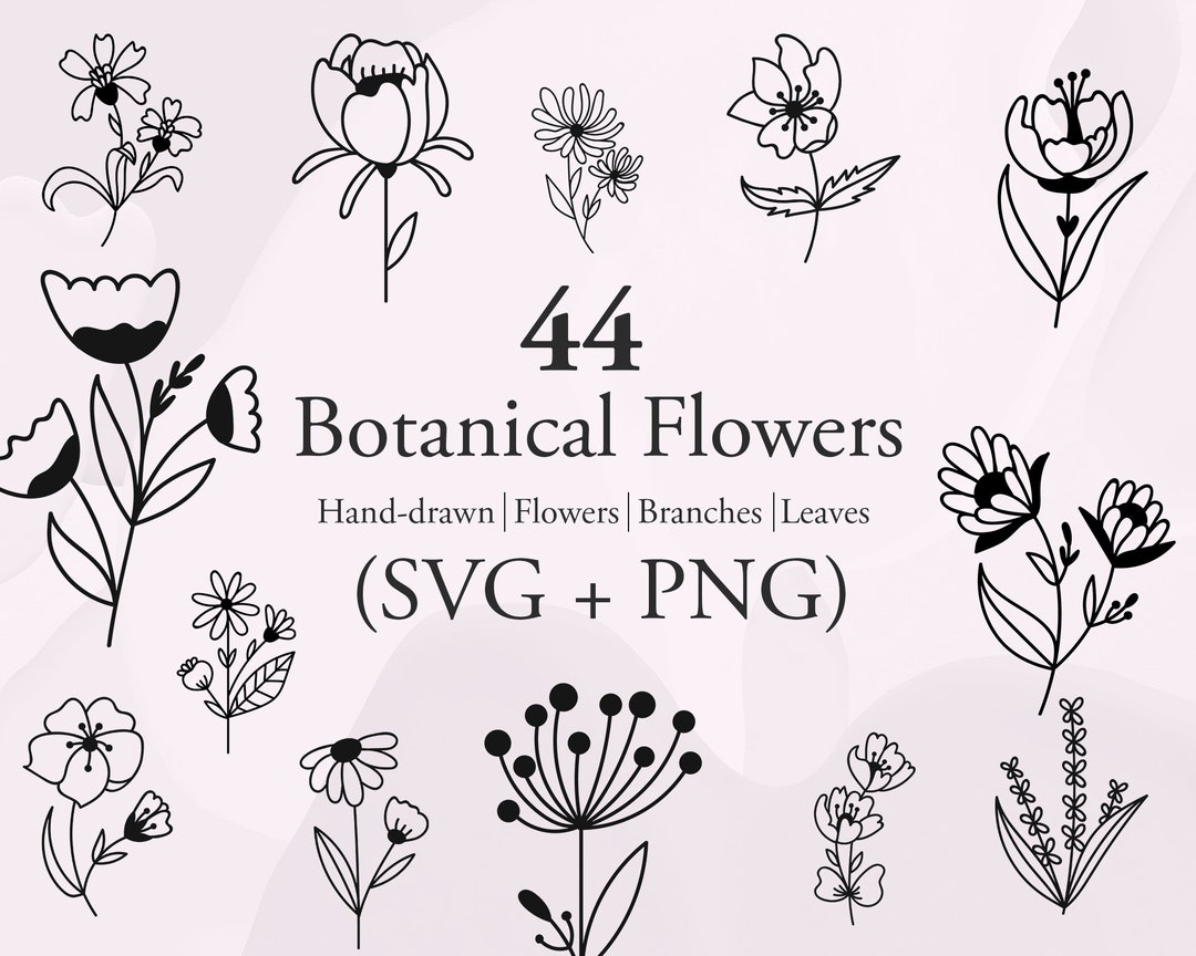 Botanical Flowers Svg, Floral Svg, Plant Svg, Doodles, Branches Svg ...