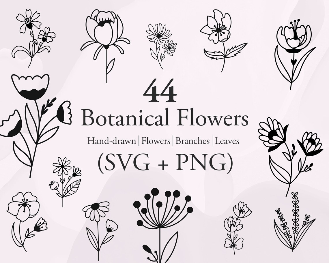 Botanical Flowers Svg Floral Svg Plant Svg Doodles - Etsy