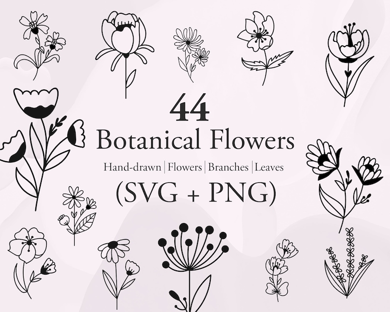 Botanical Flowers Svg Floral Svg Plant Svg Doodles - Etsy