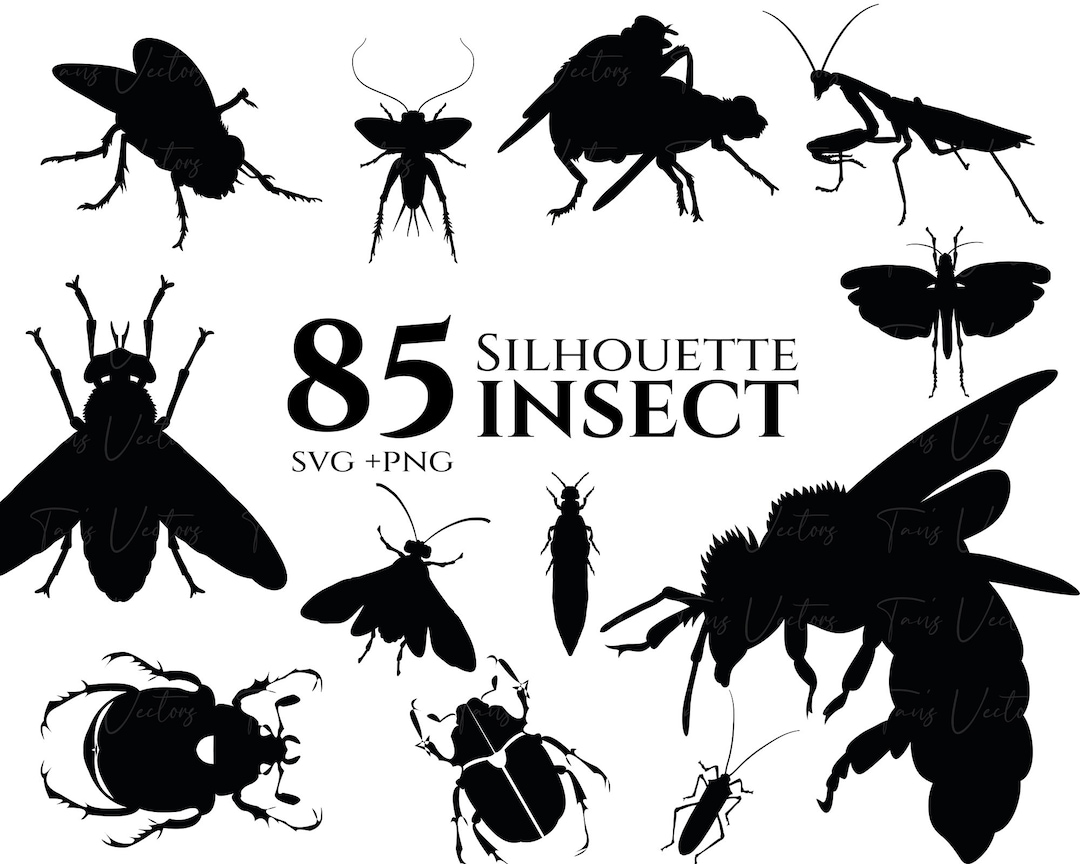 Insect Silhouette - Insect Svg, Insect Clipart, Bugs Svg, Insect Png ...