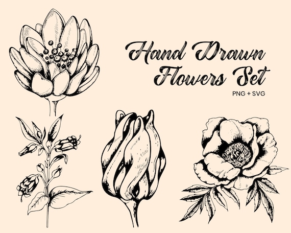 Hand Drawn Flowers SET Flowers Svg Blooming Flower Svg | Etsy