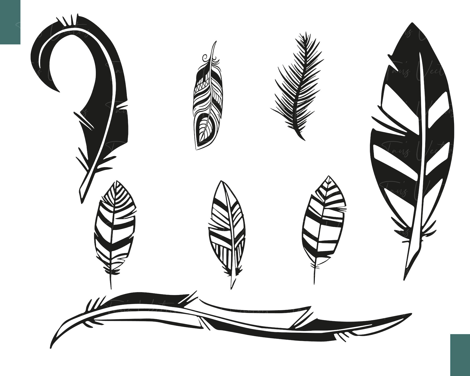 FEATHERS SVG Feather Svg Feather Clipart Feather - Etsy