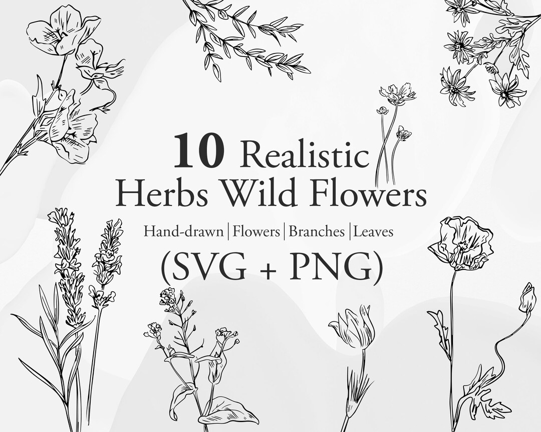 Realistic Hand Drawn Herbs Wild Flowers - Floral Svg, Plant Svg ...