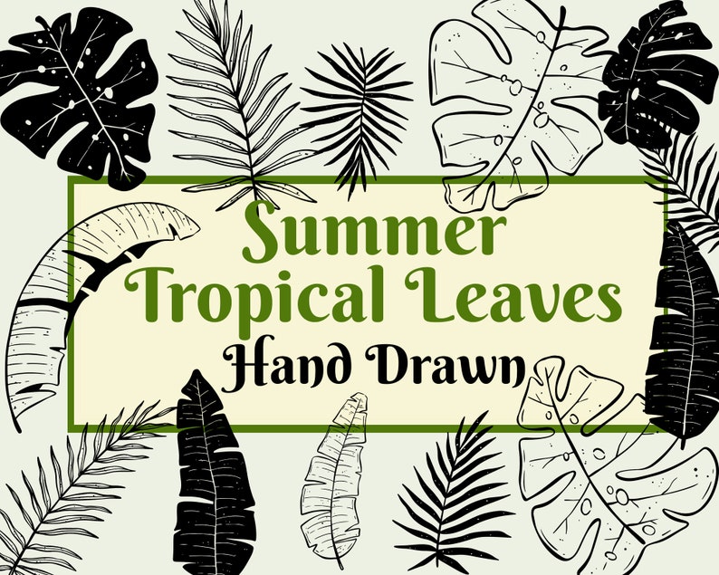 Hand Drawn Summer Tropical Leaves - Tropical Leaves Clipart, Banana ...