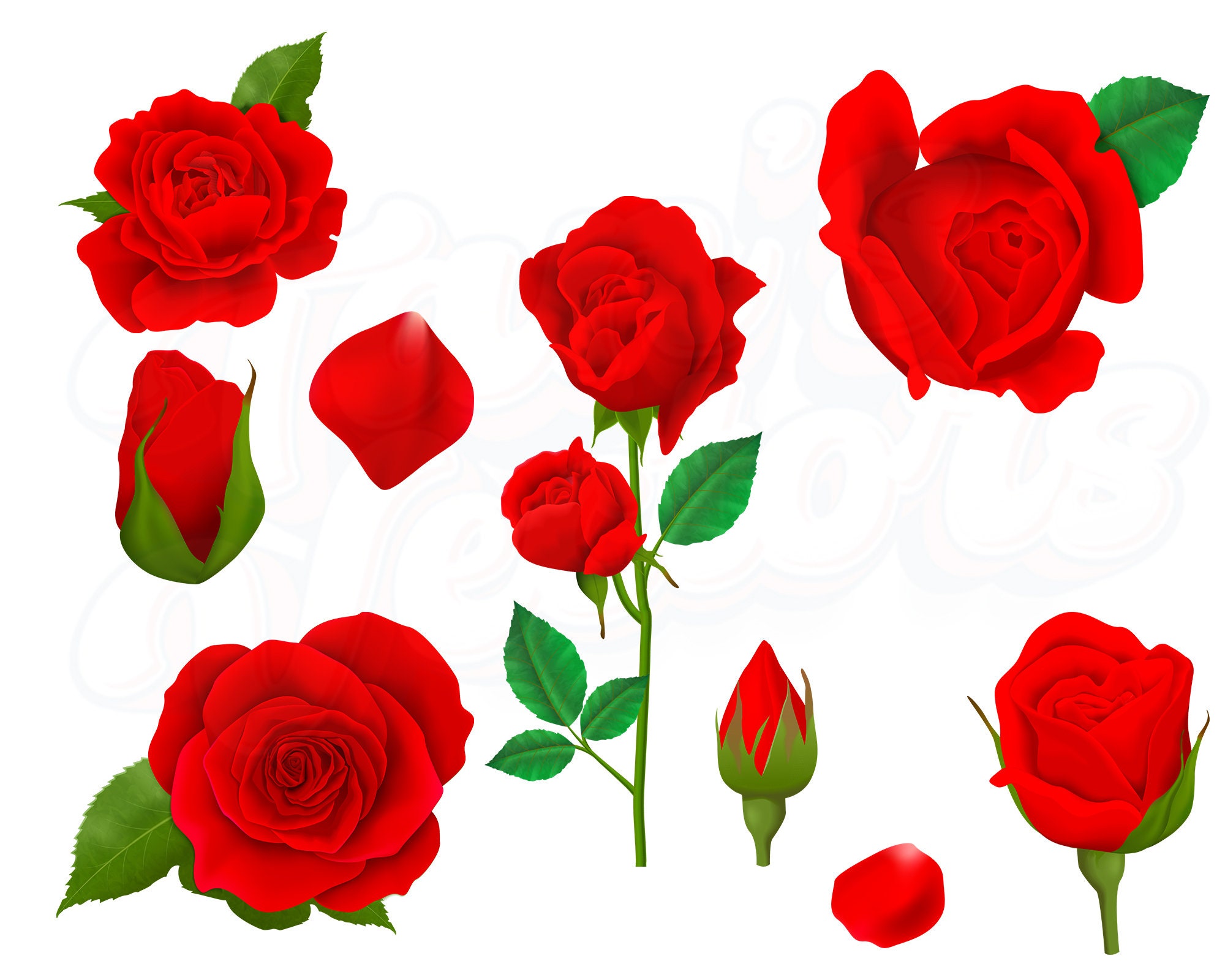 Red Roses Clipart Realistic Roses Red Rose SVG Rose Clip - Etsy Canada