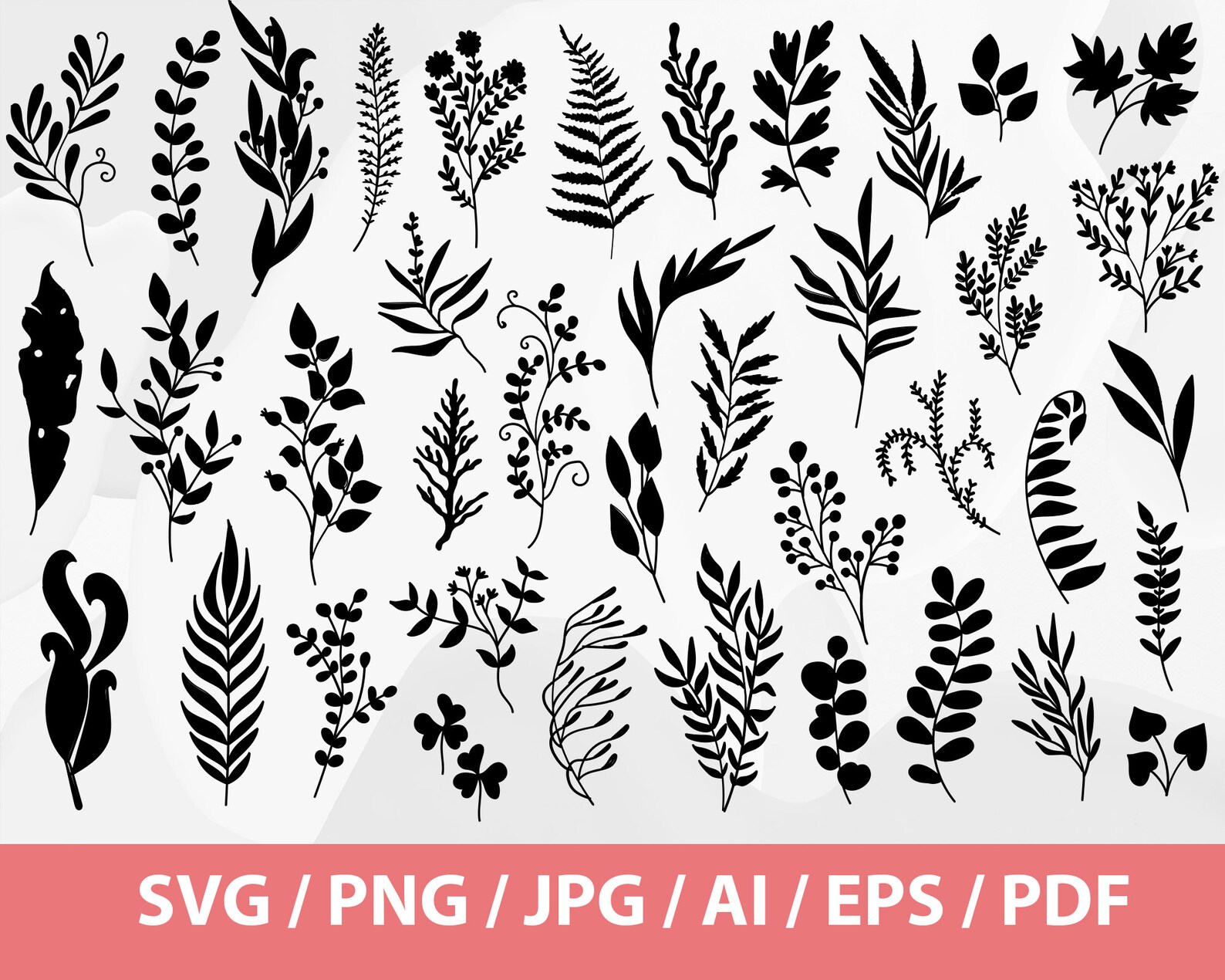 Botanical Svg Flower Svg, Botanical Clipart, Flower Clipart, Floral ...