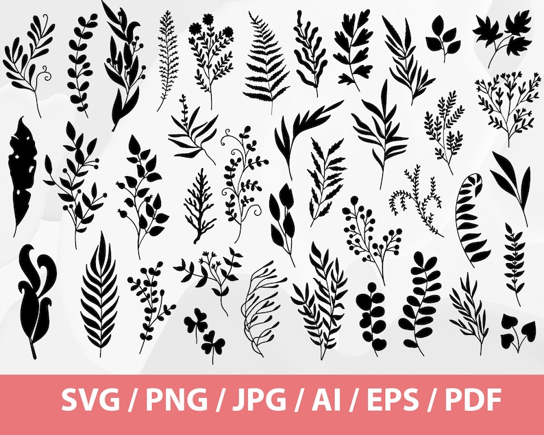 Botanical Svg Flower Svg Botanical Clipart Flower Clipart - Etsy