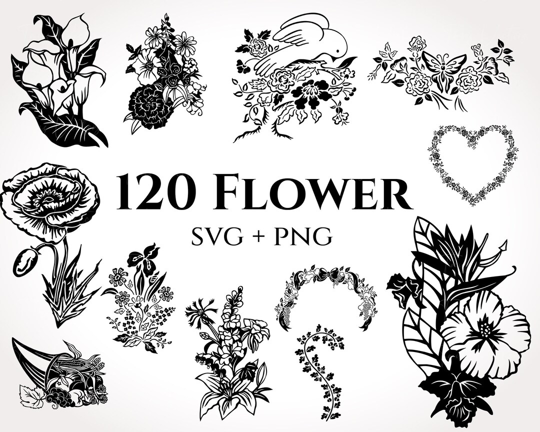 Flower SVG - Floral Svg, Botanical Svg, Daisy, Rose, Lily Svg, Corner ...