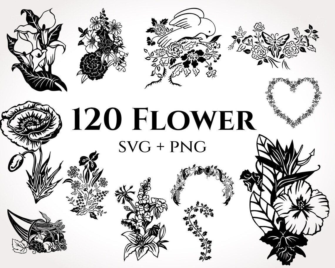 Flower SVG Floral Svg Botanical Svg Daisy Rose Lily Svg - Etsy