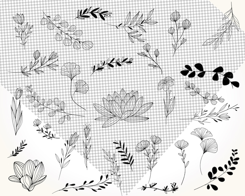 Botanical Bundle Wildflowers Svg Flowers Svg Png Botanical - Etsy