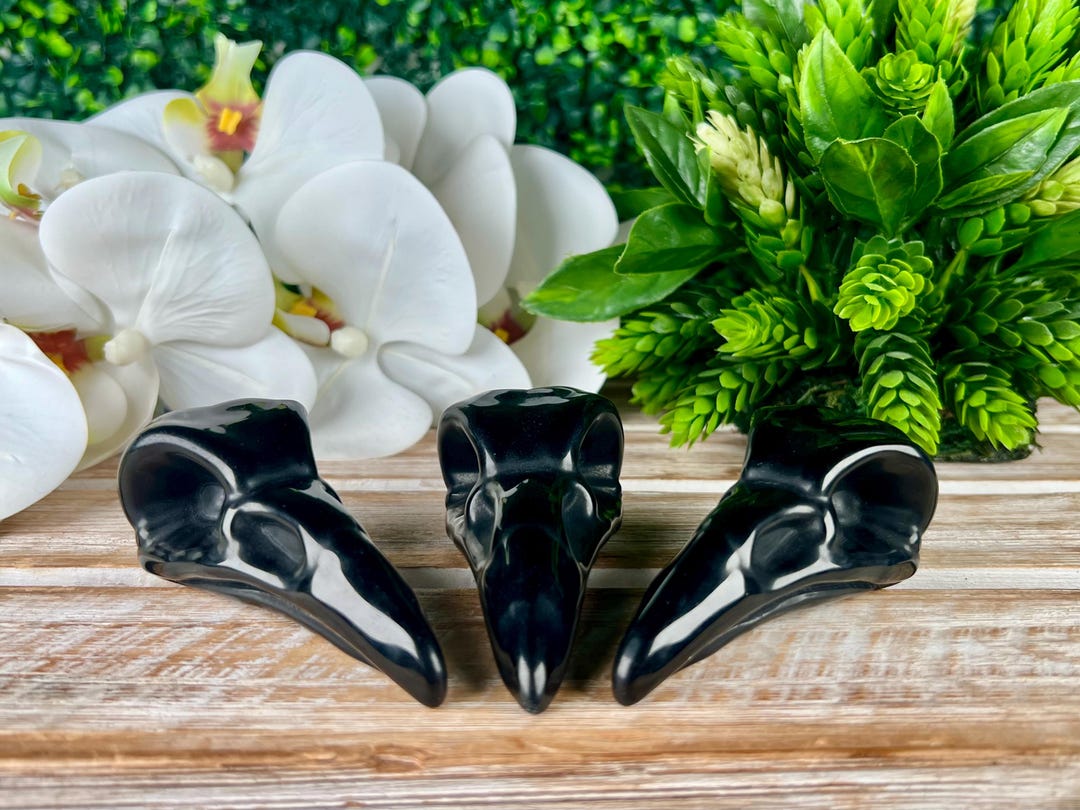 Black Obsidian Raven Skull, Crystal Carvings, Polished Minerals, Home ...