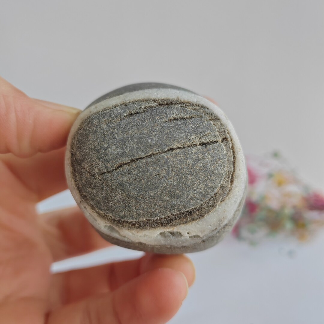 130 Gr, 5 Cm Gray White Banded Sea Stone, Beach Pebble Band, Self ...