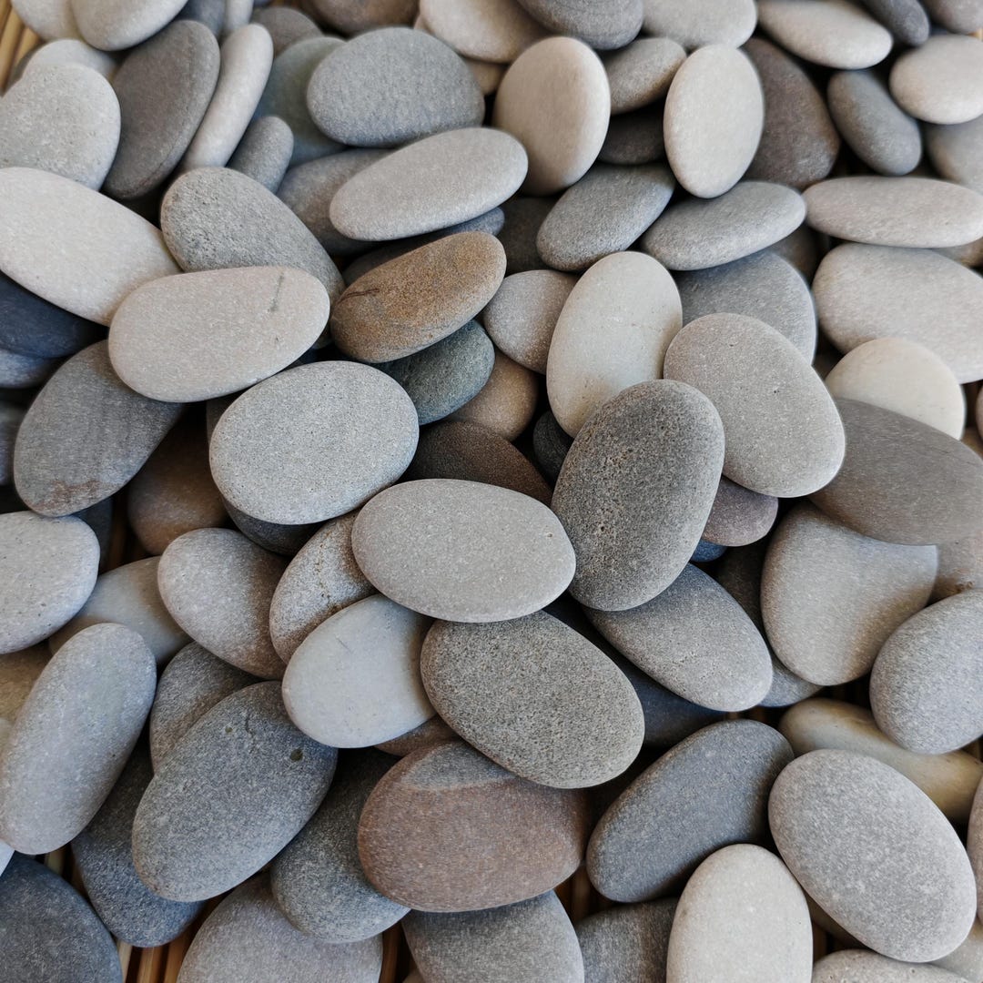 Flat Light Elongated Beach Stones: Natural Sea Pebbles, Craft Supplies ...