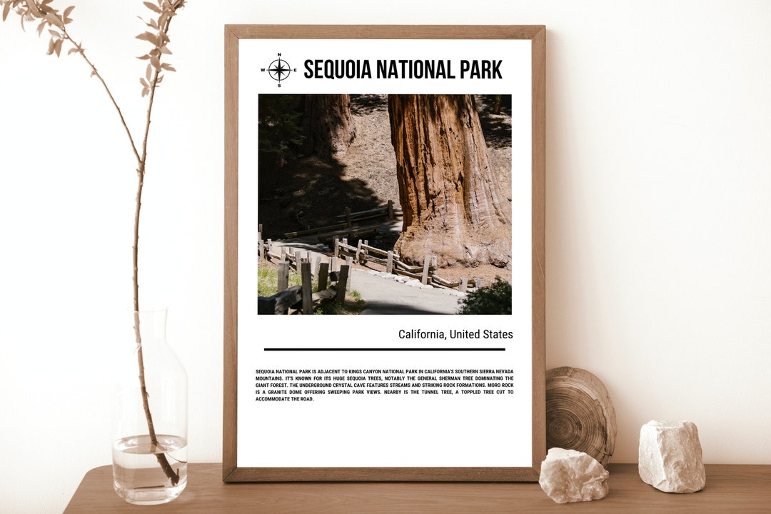 Sequoia National Park, Travel Poster Print, Sequoia Travel Wall Decor ...