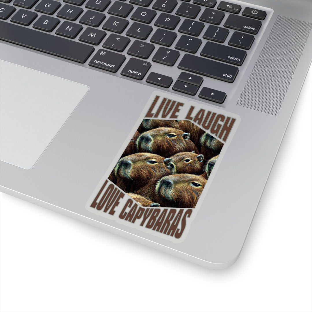 Capybara Sticker Capybara Vinyl Decal Capybara Decal - Etsy