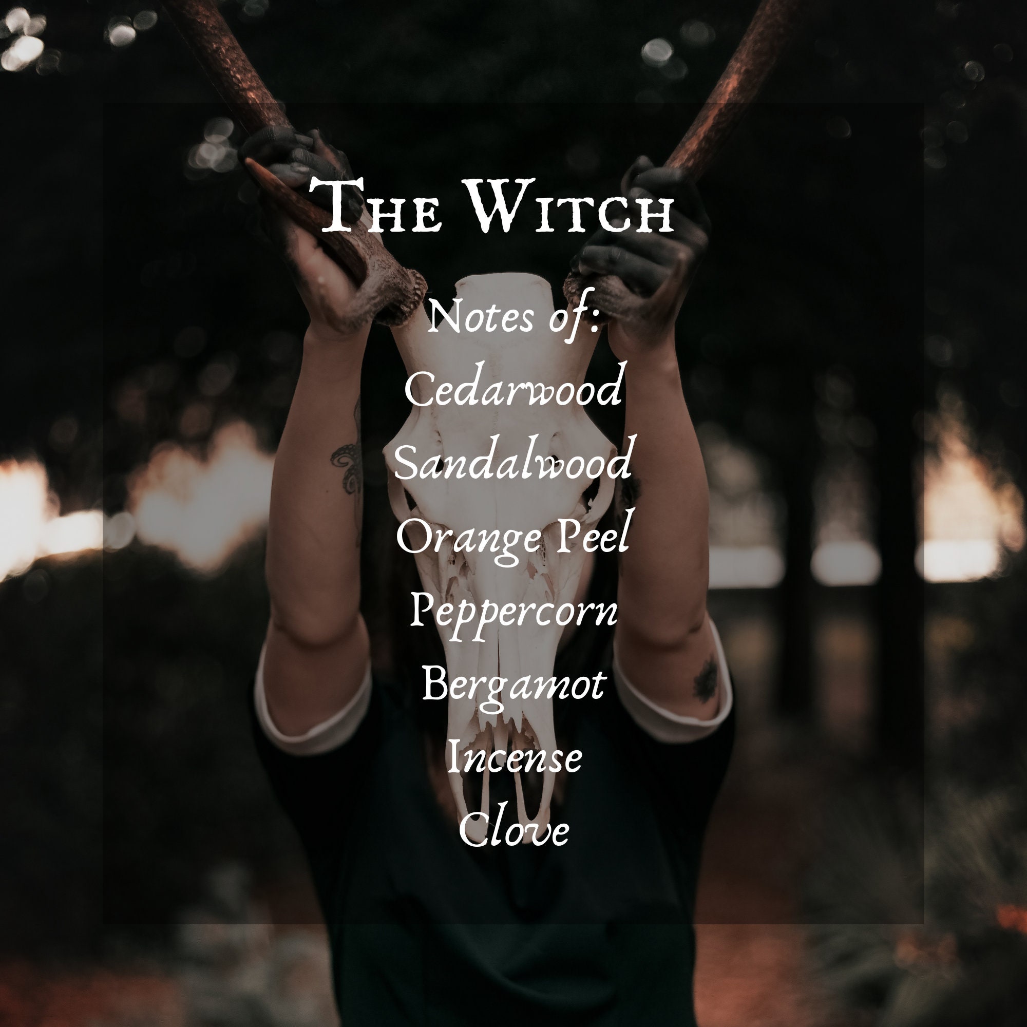 The Witch Perfume Oil, Witches of the World, North America - Etsy