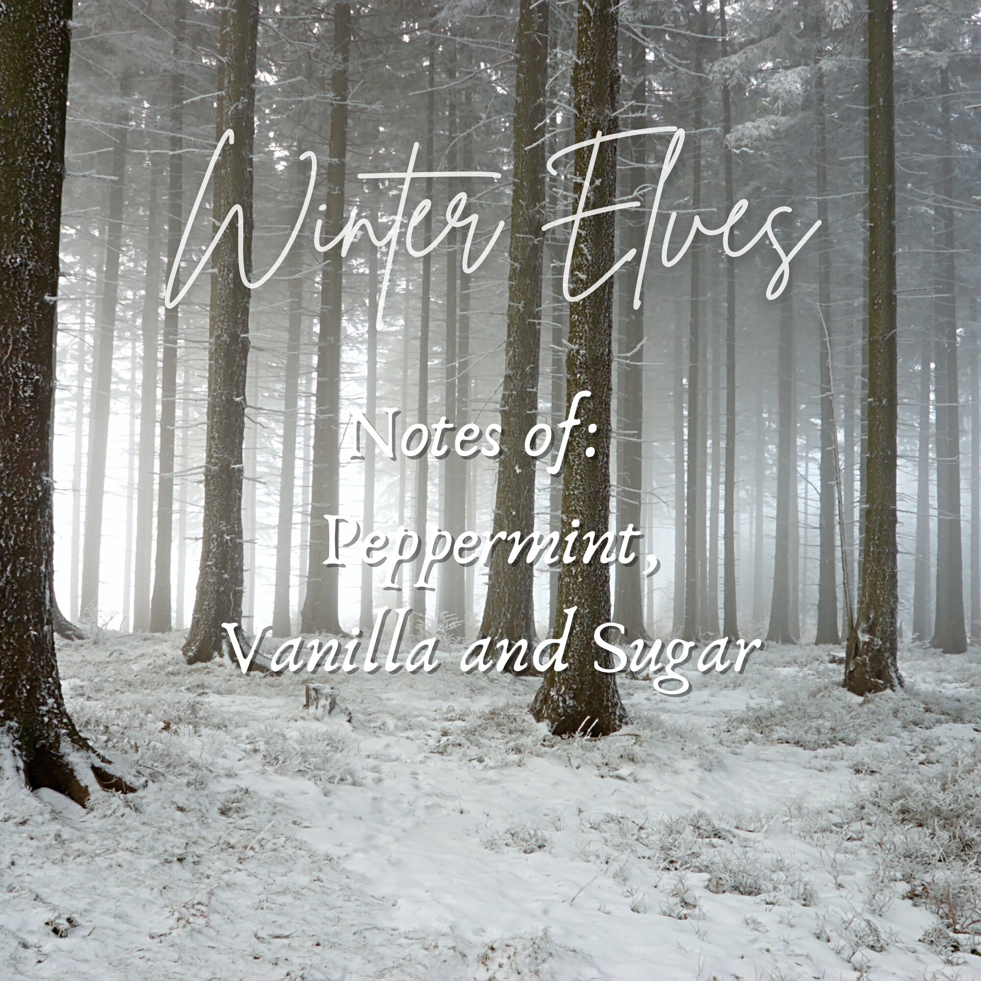 Winter Tumblr Quotes