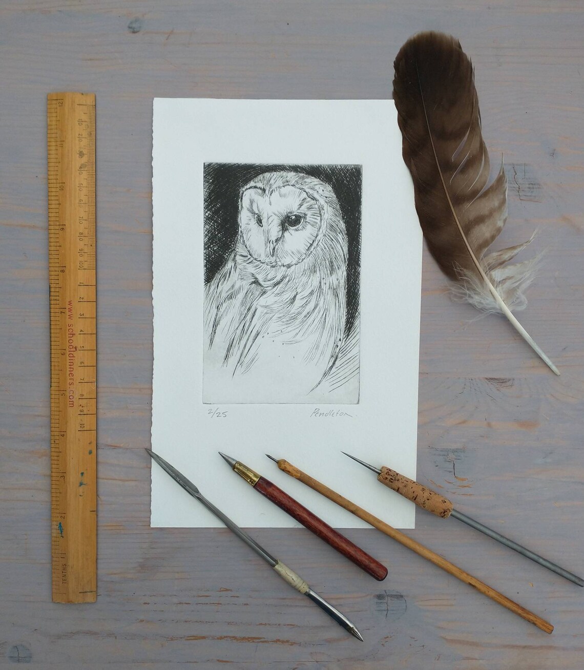 Barn Owl Drypoint, Owl, Etching, Drypoint, Limited Edition, Print - Etsy