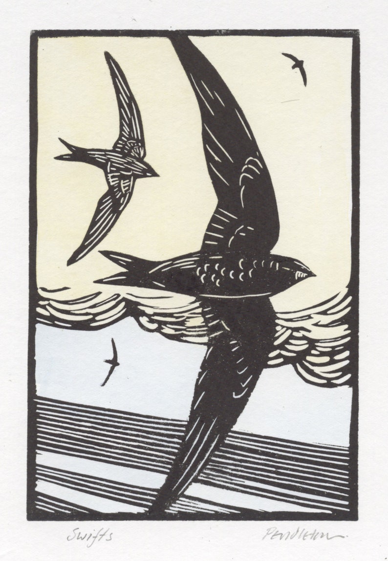 Swifts, Linocut Print, Hand Coloured, Garden Bird, Bird Linocut, Bird ...
