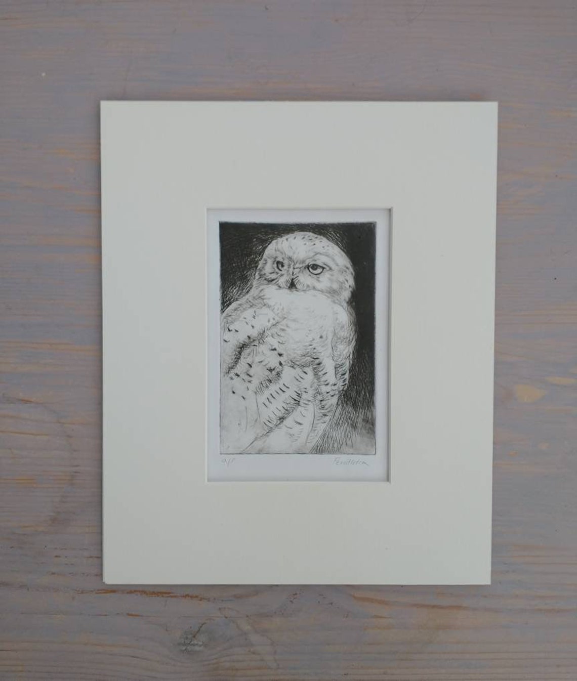 Snowy Owl Drypoint, Owl, Hedwig, Etching, Drypoint, Limited Edition ...