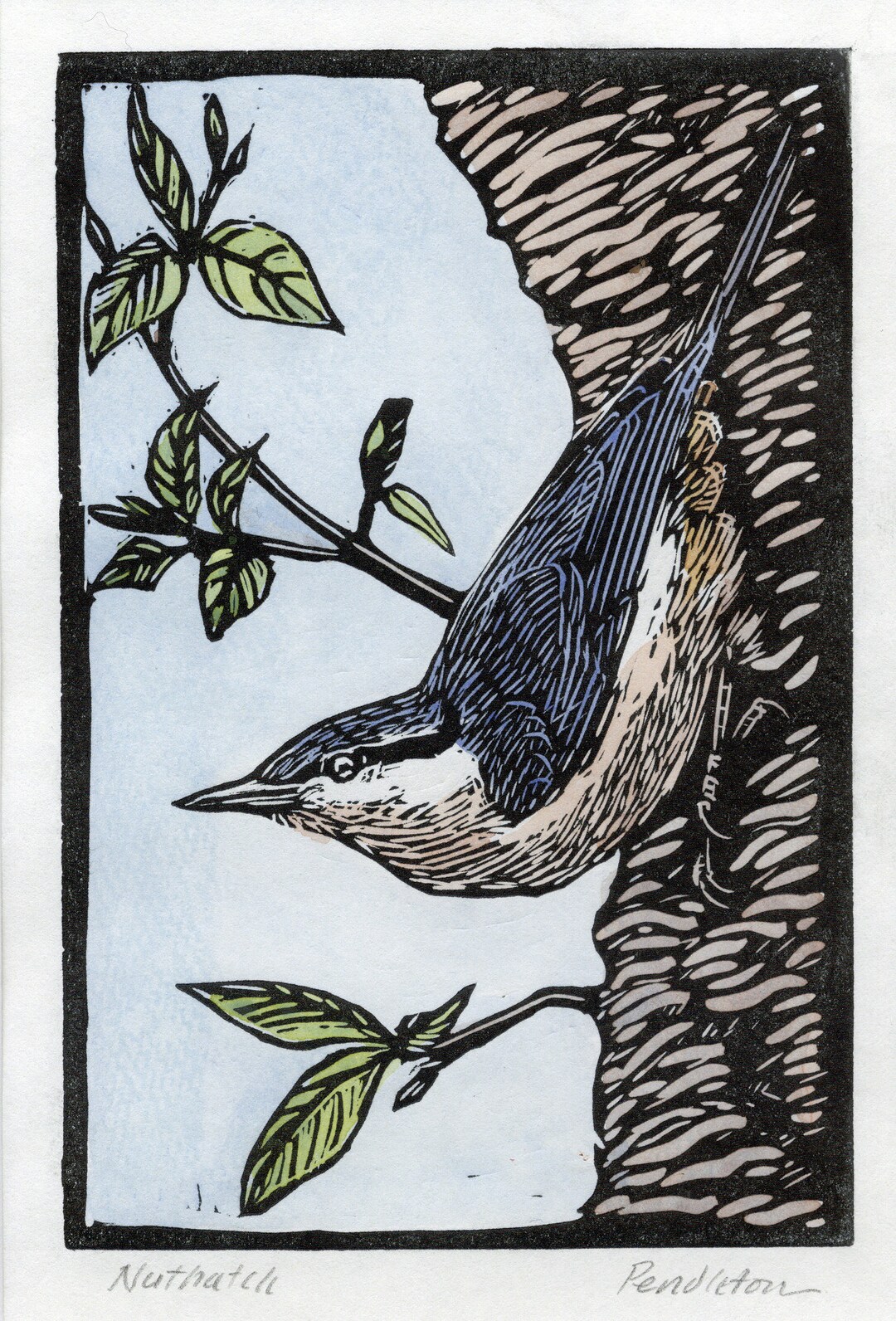 Nuthatch, Linocut Print, Hand Coloured, Garden Bird, Bird Linocut, Bird ...