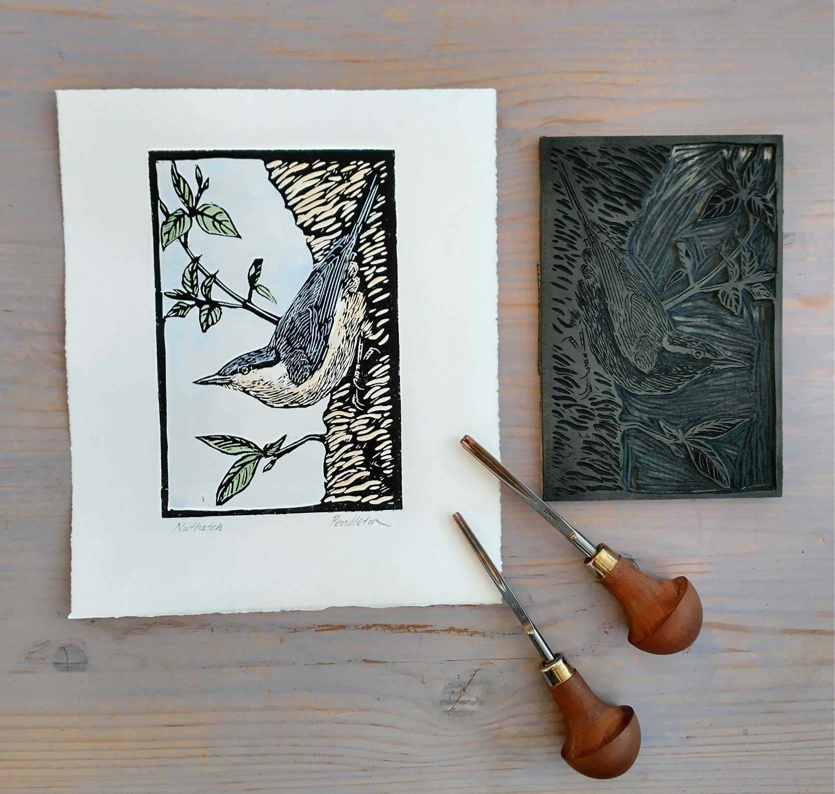 Nuthatch, Linocut Print, Hand Coloured, Garden Bird, bird linocut, bird ...