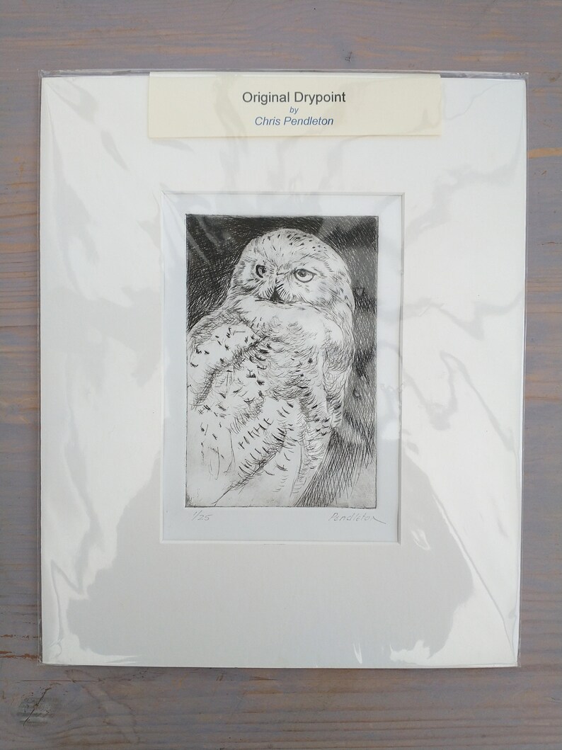 Snowy Owl Drypoint, Owl, Hedwig, Etching, Drypoint, Limited Edition ...
