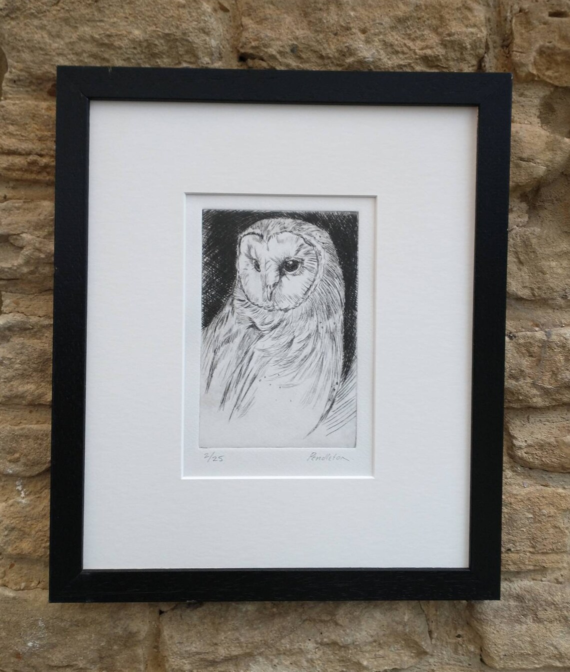 Barn Owl Drypoint, Owl, Etching, Drypoint, Limited Edition, Print - Etsy