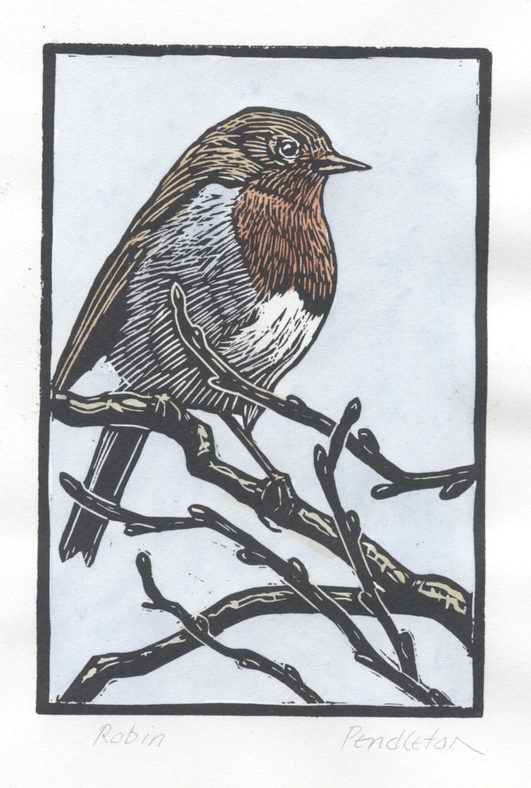 Robin, Linocut Print, Hand Coloured, Garden Bird, Bird Linocut, Bird ...