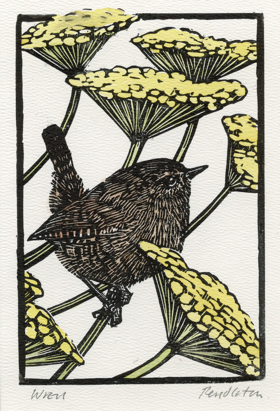 Wren and Tansy Linocut Print Hand Coloured Garden Bird - Etsy