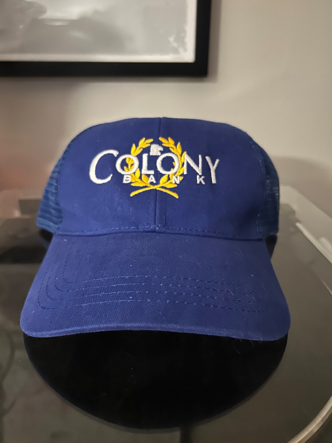 Colony Bank Trucker Hat - Etsy