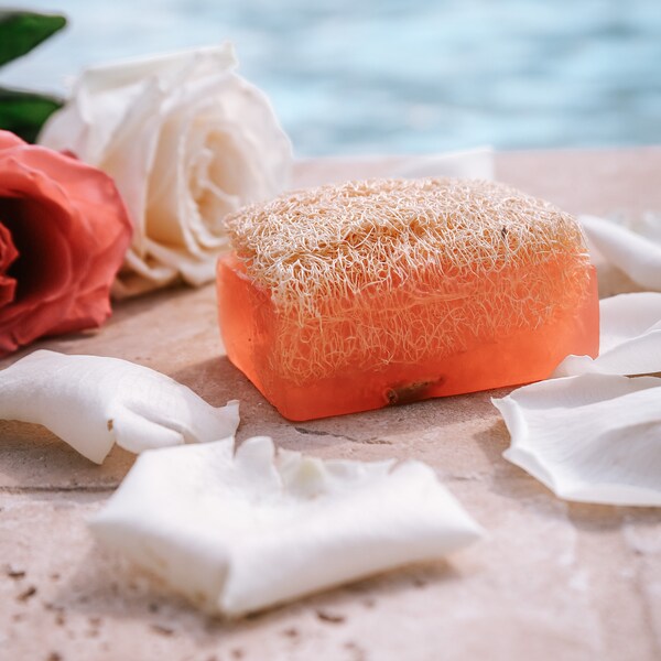 Loofah Soap - Etsy