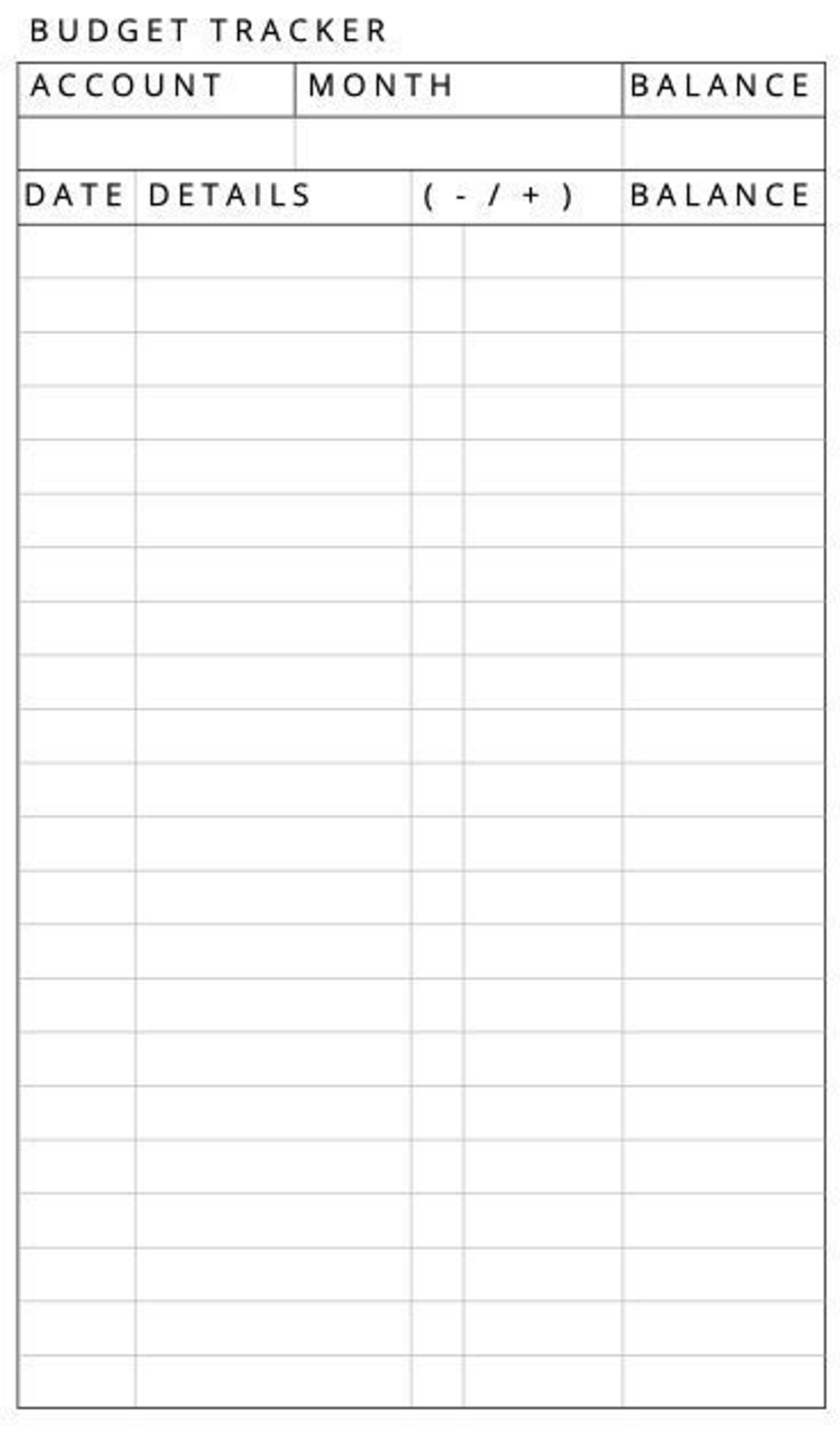 Printable Pocket Insert Budget Tracker - Etsy