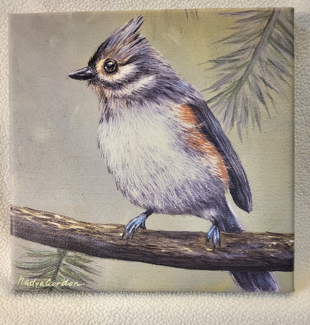 Tufted Titmouse Bird Canvas Print of Original Painting by Nadya Gordon ...