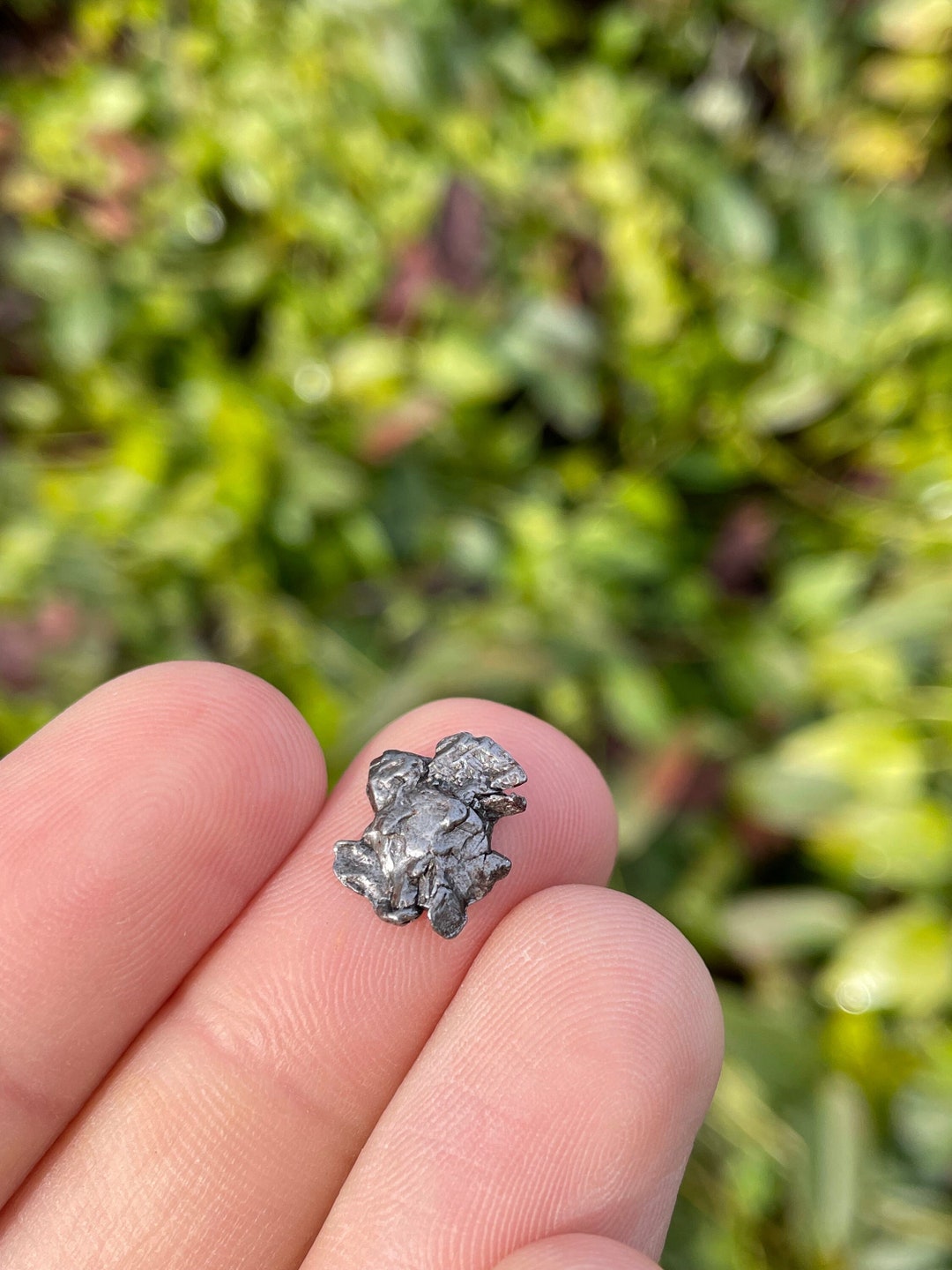 Meteorite Fragment Campo Del Cielo Argentina Space Rocks and Minerals ...