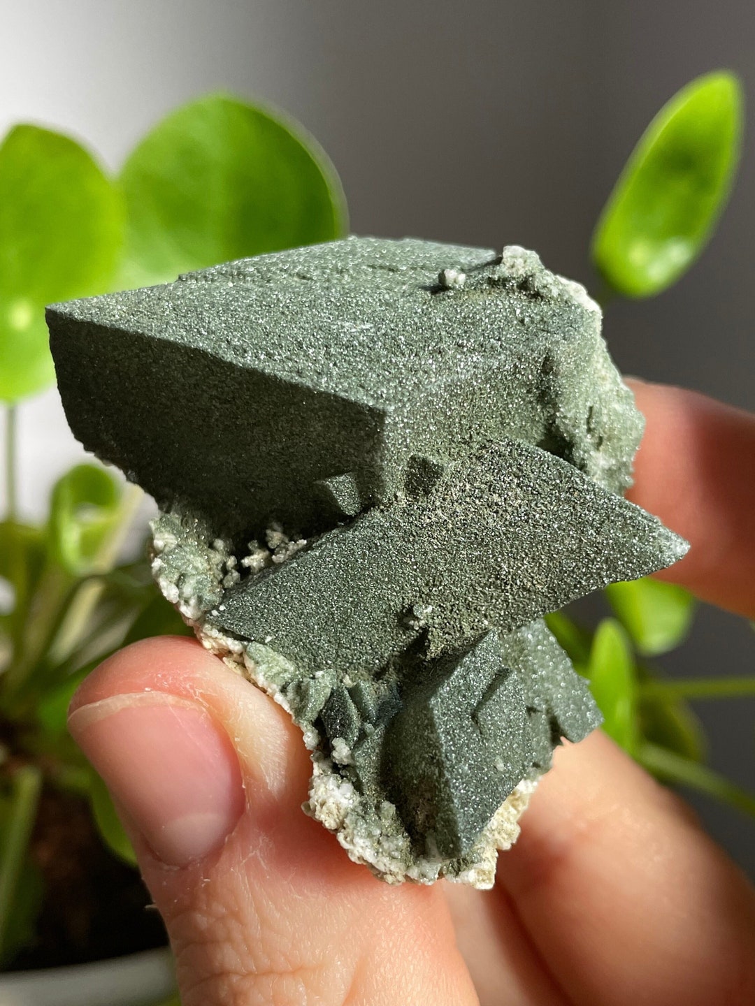 Alpine Swiss Smoky Quartz With Chlorite Green Crystals on Matrix High ...