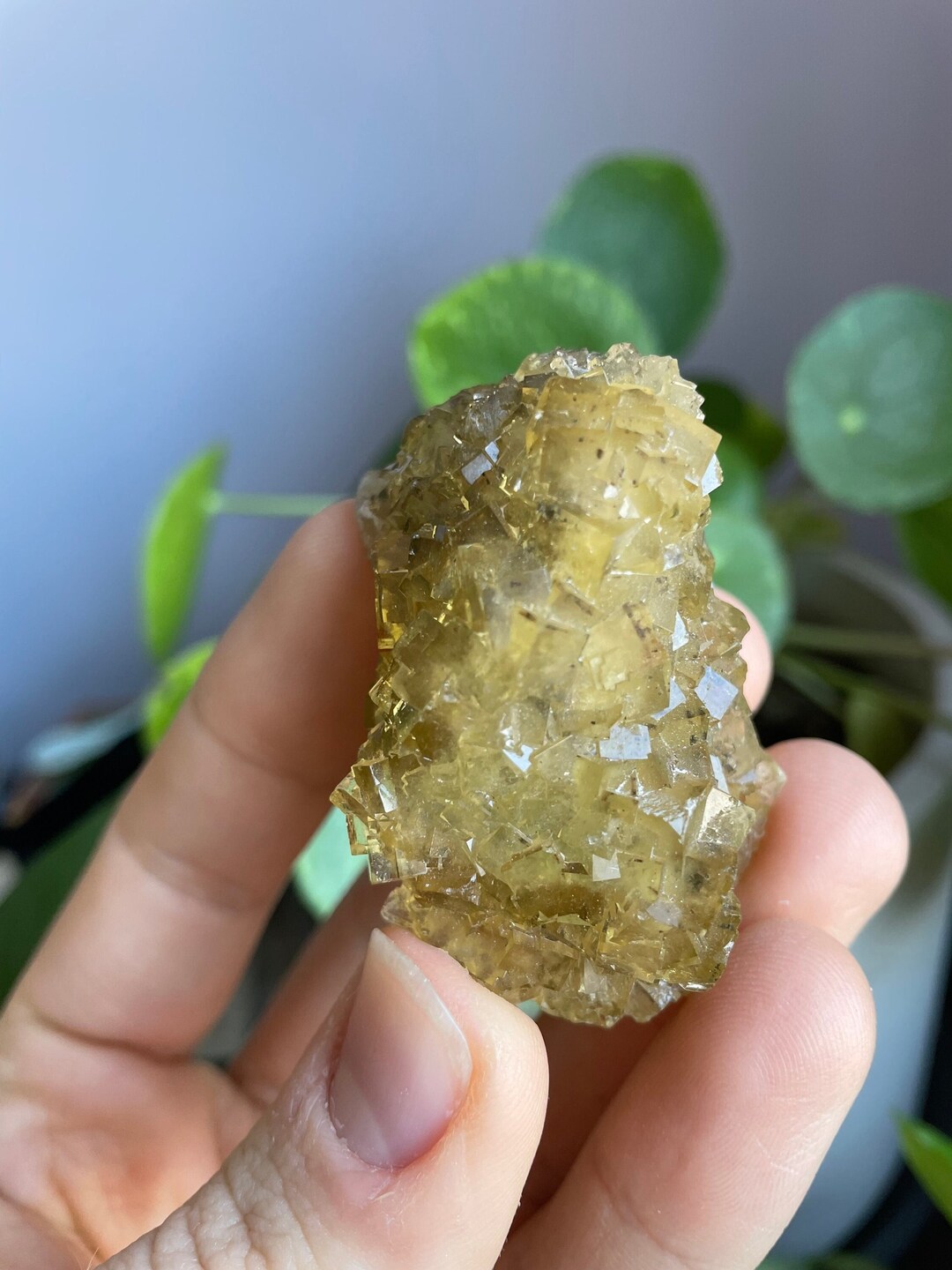 UV Yellow Fluorite Spanish Fluorite Cluster Fluorescent Crystal Display ...