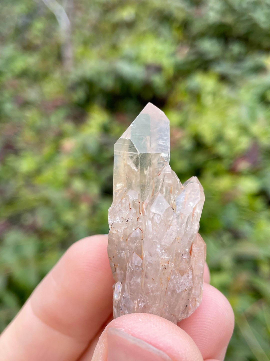 Natural Raw Citrine Crystal Genuine Citrine Rocks and Minerals Reiki ...