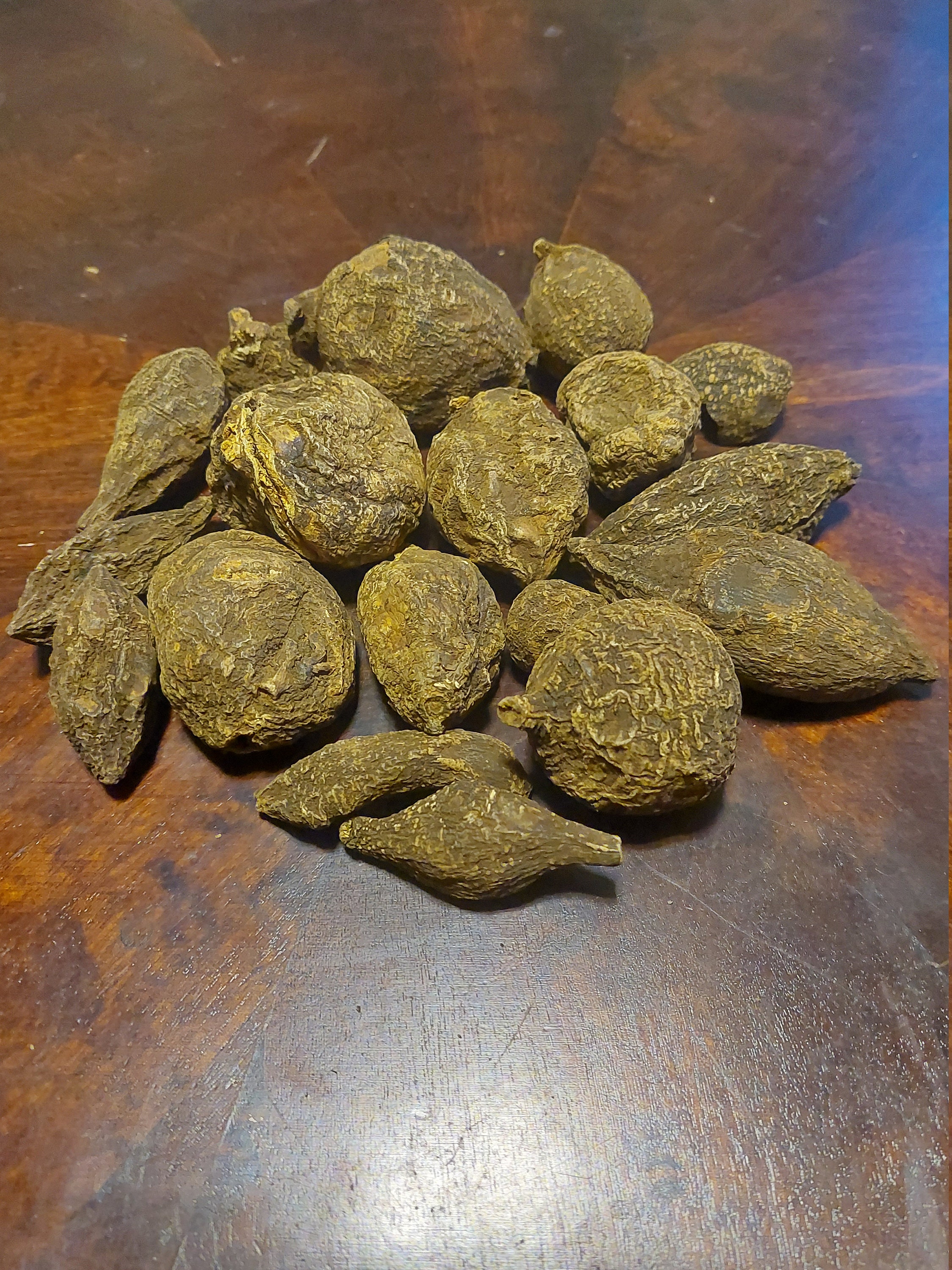 High John the Conqueror Root, 1/2 Oz, Bulk - Etsy