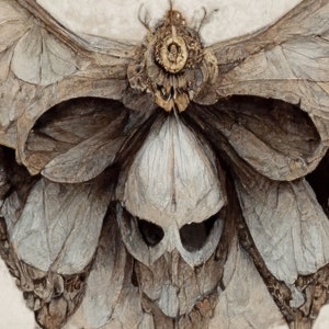 Death Moth Art Print - Etsy