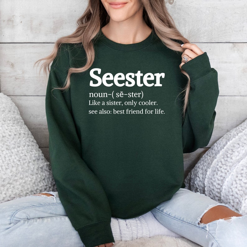 Seester Noun Sweatshirt, Seester Definition Shirt, Gift for Sister ...