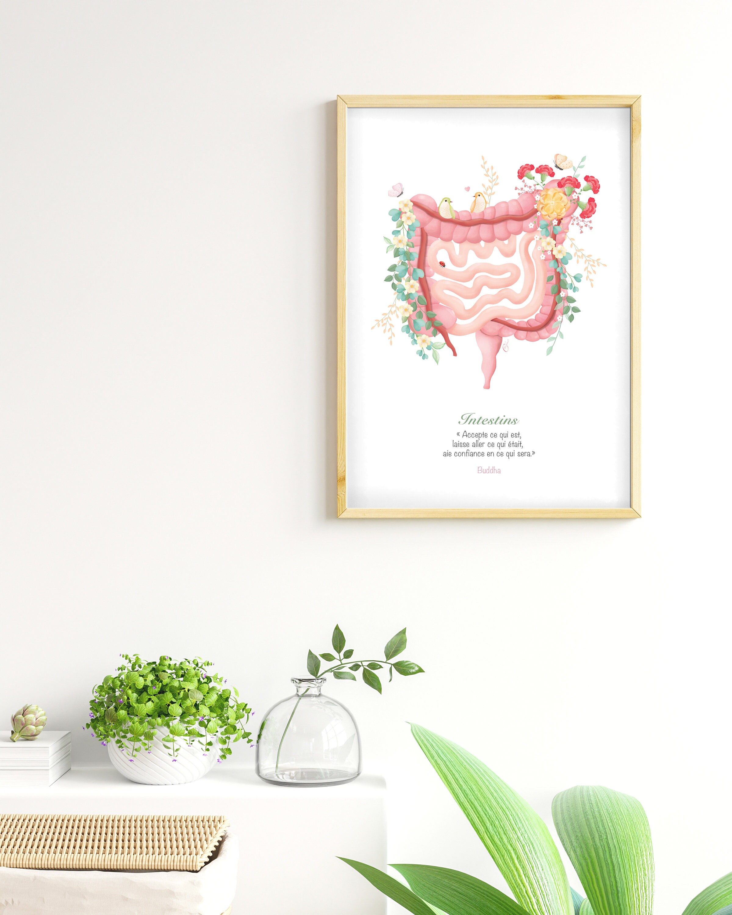 Human ANATOMY INTESTINES/ Human Body Anatomy/ Anatomy Illustration ...