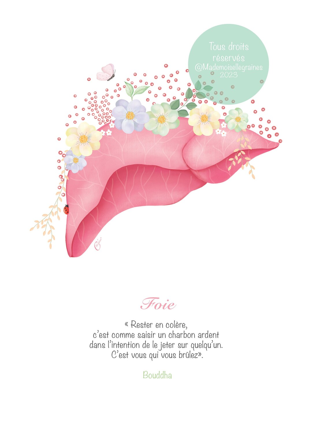 Human Anatomy Liver Anatomy Of The Human Body Prints Of Etsy