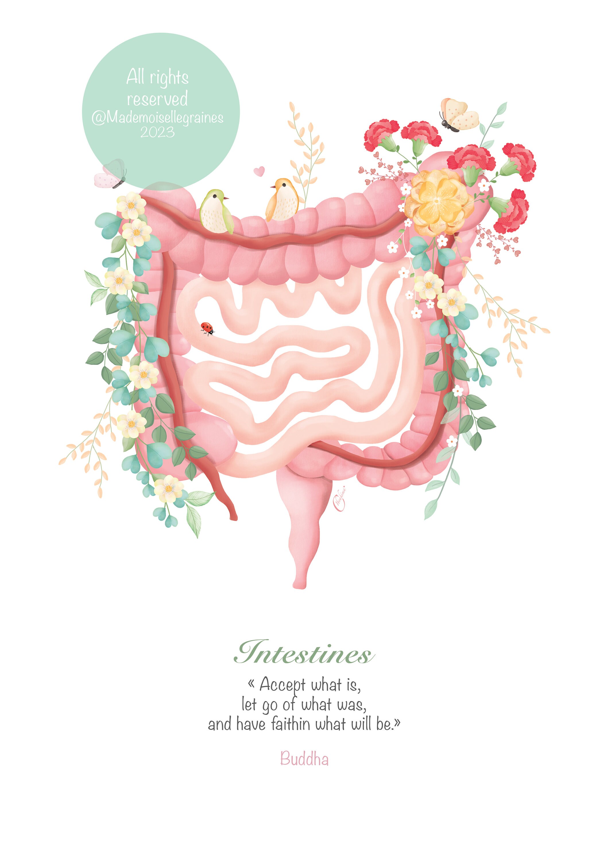Human ANATOMY INTESTINES/ Human Body Anatomy/ Anatomy Illustration ...