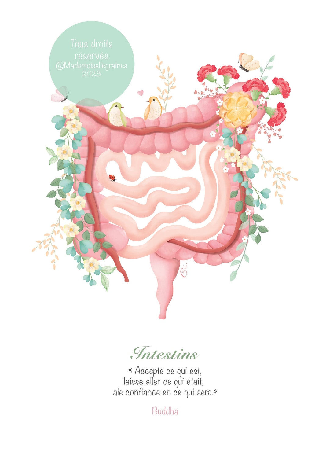Human ANATOMY INTESTINES/ Human Body Anatomy/ Anatomy Illustration ...