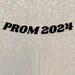 Prom 2024 Banner, Decoration for Prom, After Party, or All Night Prom ...