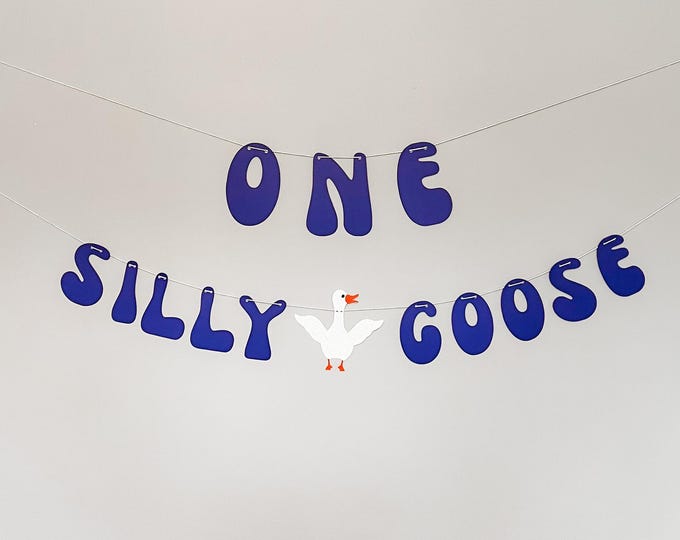 One Silly Goose Embroidered High Chair Banner | Vintage Coquette Shabby ...
